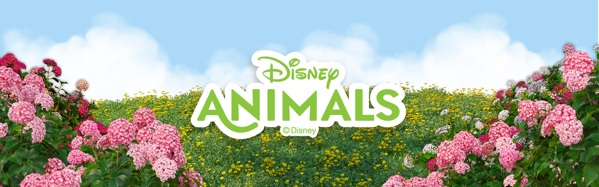 DISNEY ANIMALS COLLECTION – THE CASE BIBLE